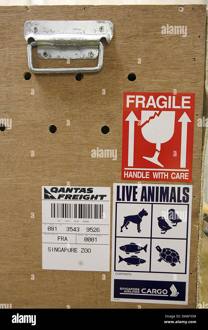 A sticker indicates on live animals in a box at the international ...
