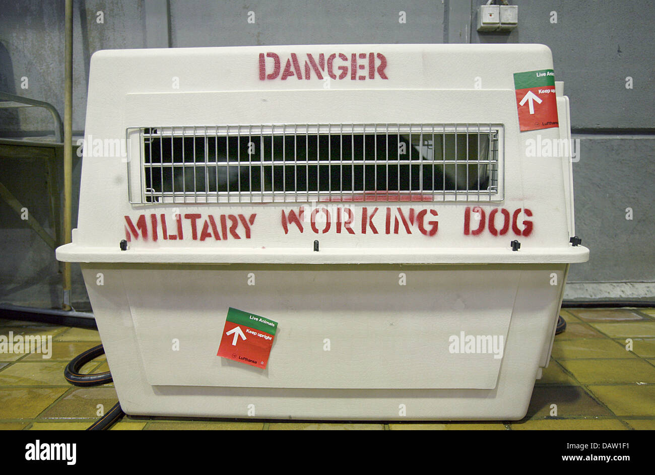Cage dog border hi-res stock photography and images - Alamy