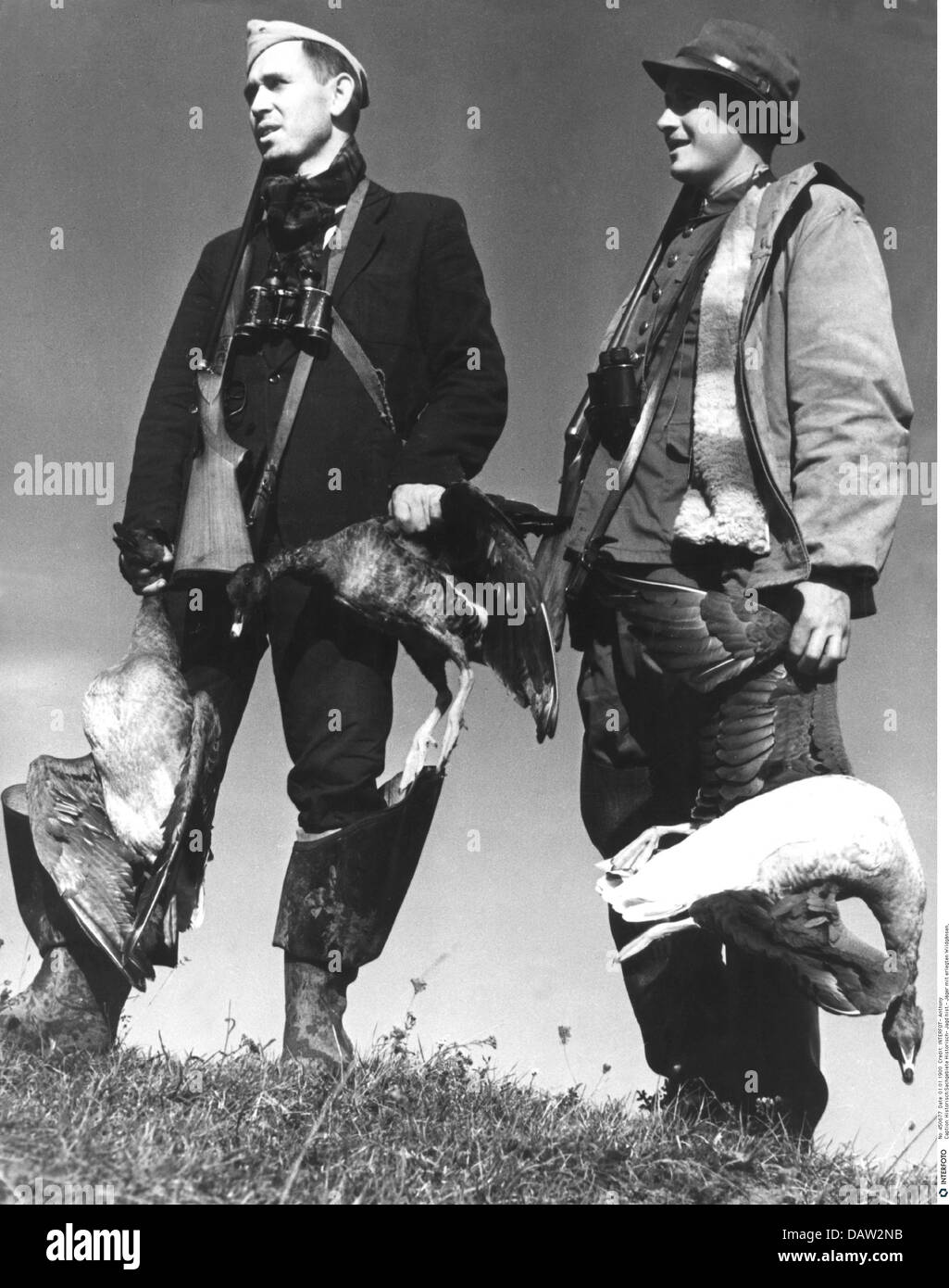 hunting, hunter with shot brant, 1950s, , Additional-Rights-Clearences ...