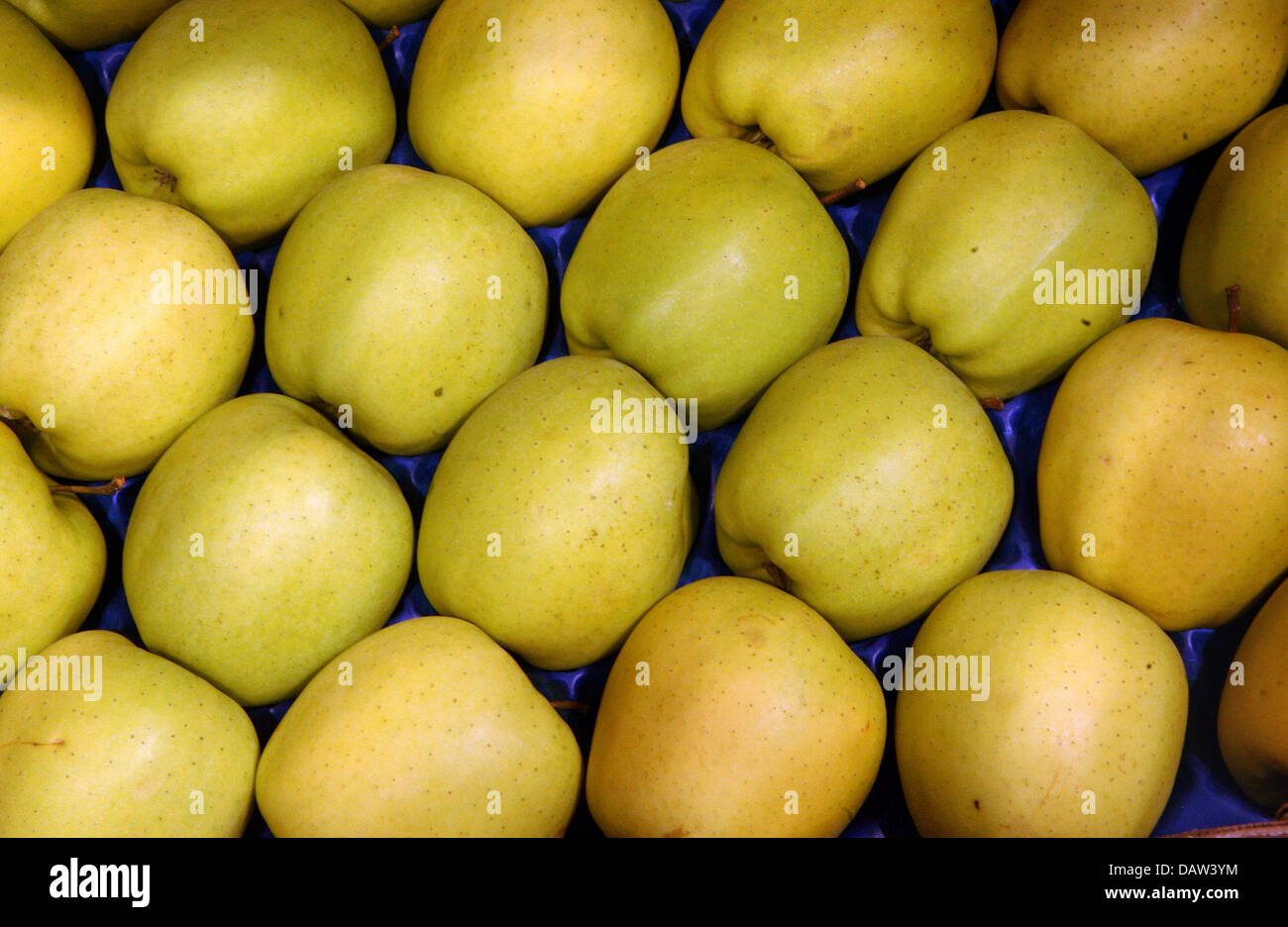 Apples without visible stickers shown at the fruit-and-vegetable-trade ...