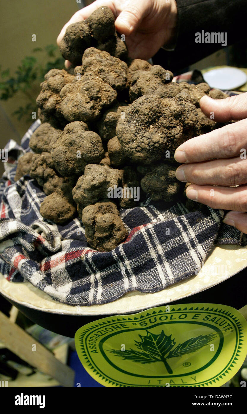 An Italian organic food dealer presents organic truffles at the World ...