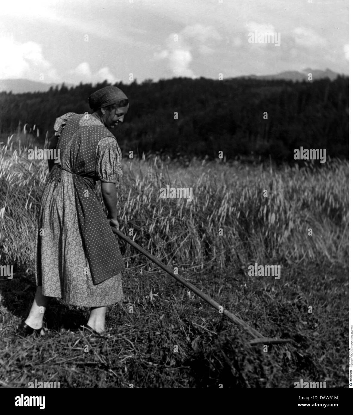 agriculture, harvest, farmer harvesting on field, 1930s, , Additional ...