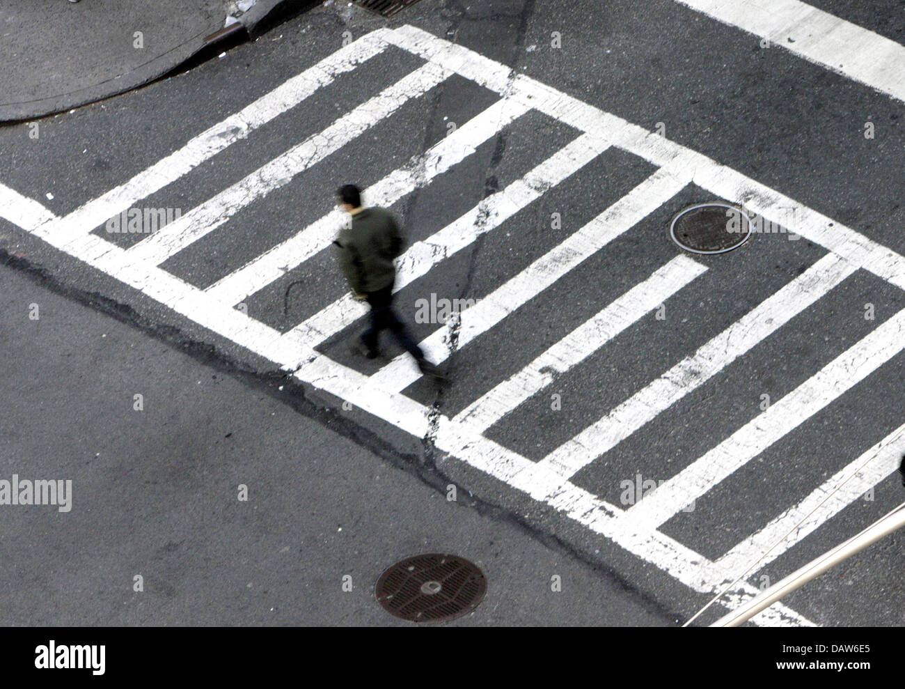 A pedestrian crosses a zebra crossing in New York, NY, United States ...