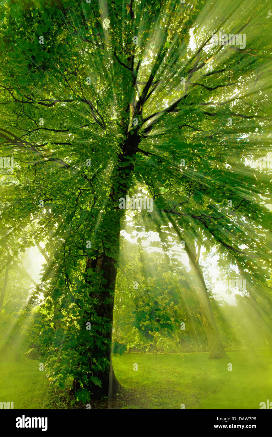 Radiance beam hi-res stock photography and images - Alamy