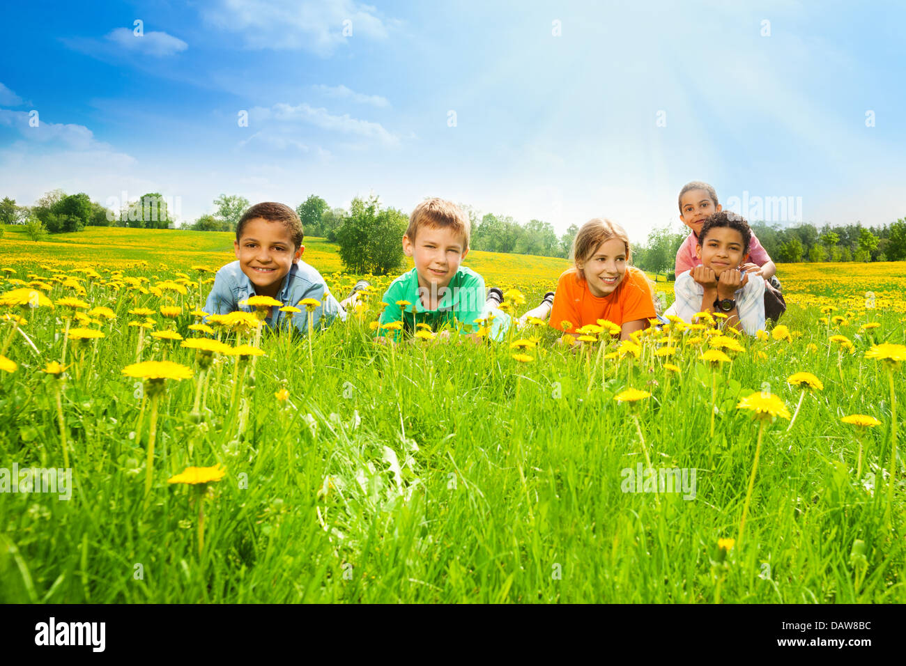 Five happy kids laying in the dandelion field in the sunny early summer ...