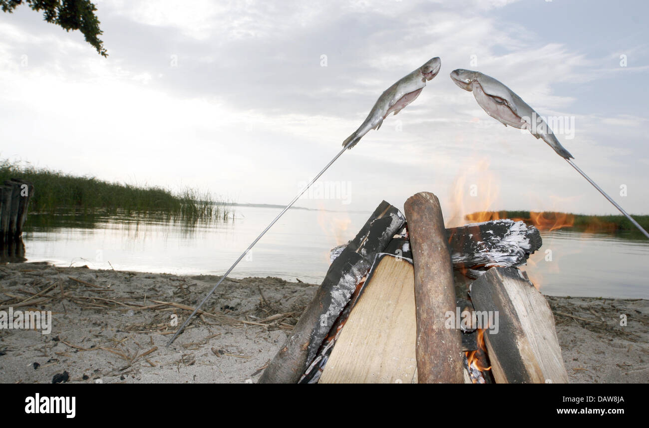 Fish on open fire general hi-res stock photography and images - Alamy