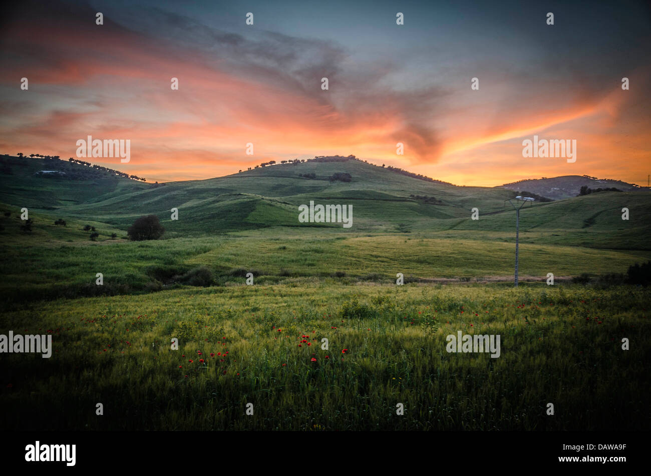 Green morocco hi-res stock photography and images - Alamy