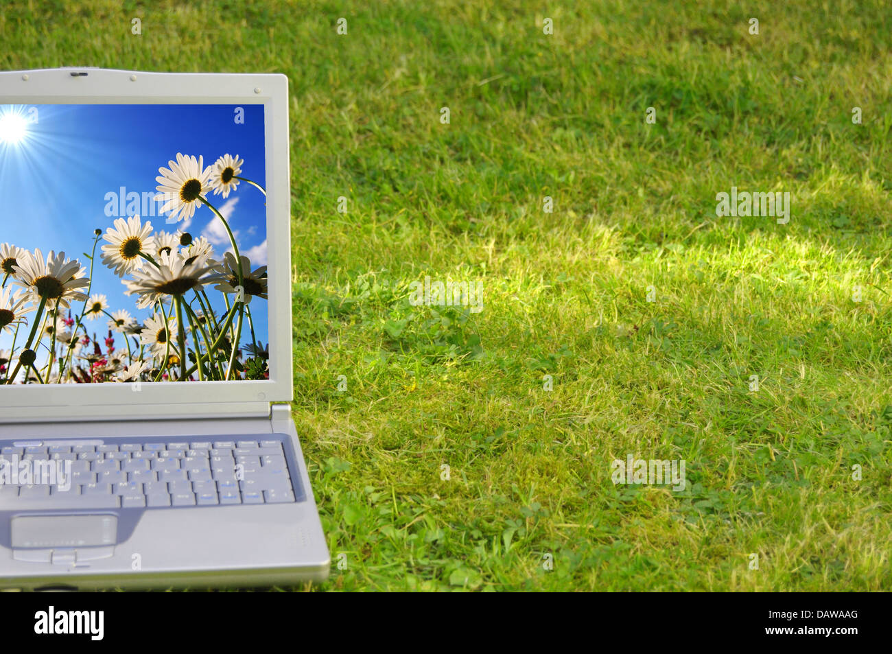 laptop and flower Stock Photo - Alamy