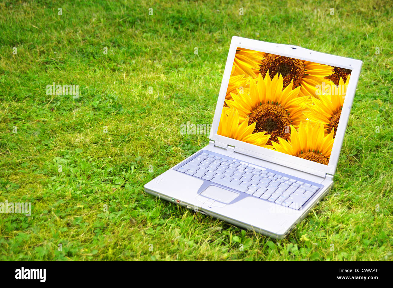 flowers and laptop Stock Photo - Alamy