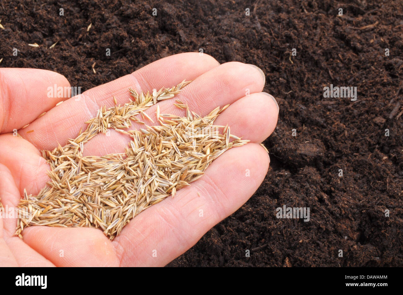 hand sowing seed Stock Photo - Alamy