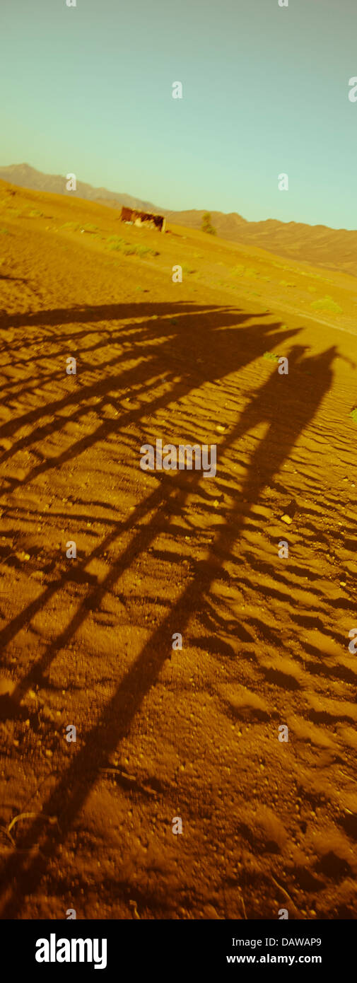 Long leg shadow hi-res stock photography and images - Alamy