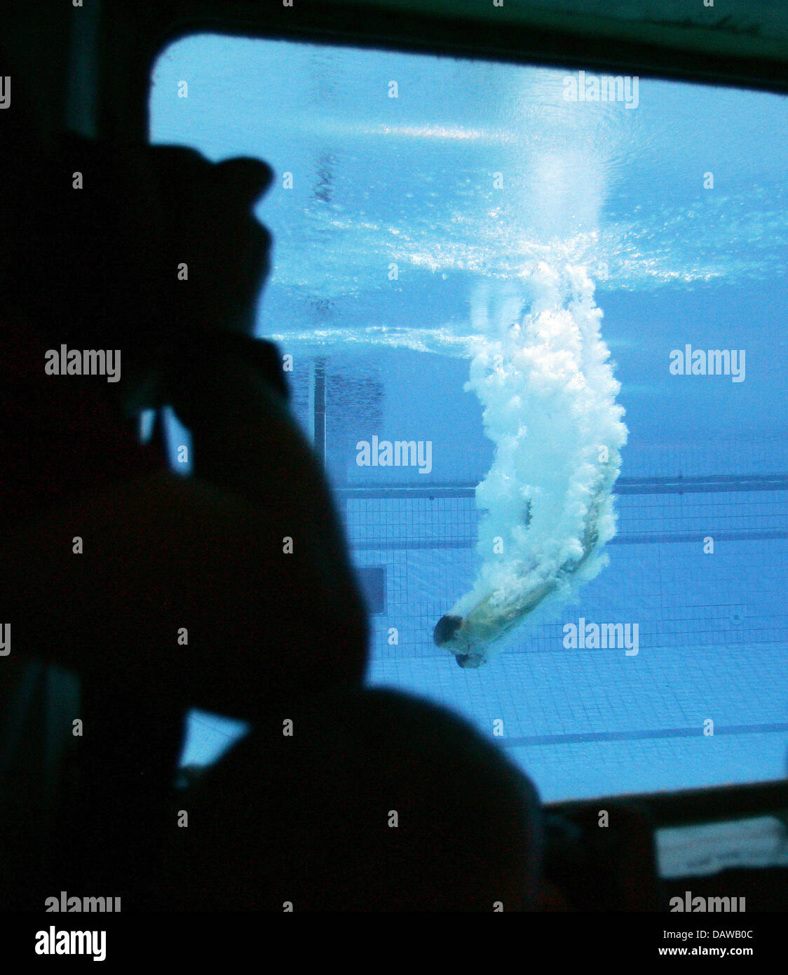 Photographers take under water pictures of the Italian divers Tommaso ...