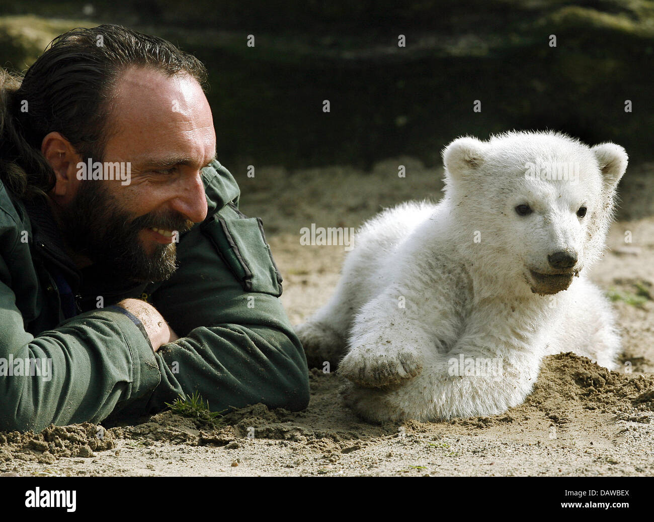 Polar bear cub 'Knut' and his foster father Thomas Doerflein welcome ...