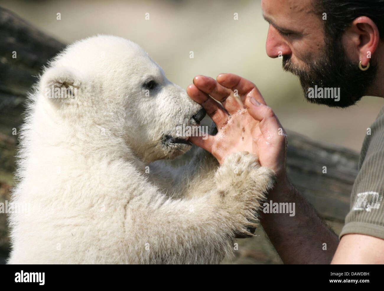 Thomas doerflein hi-res stock photography and images - Alamy
