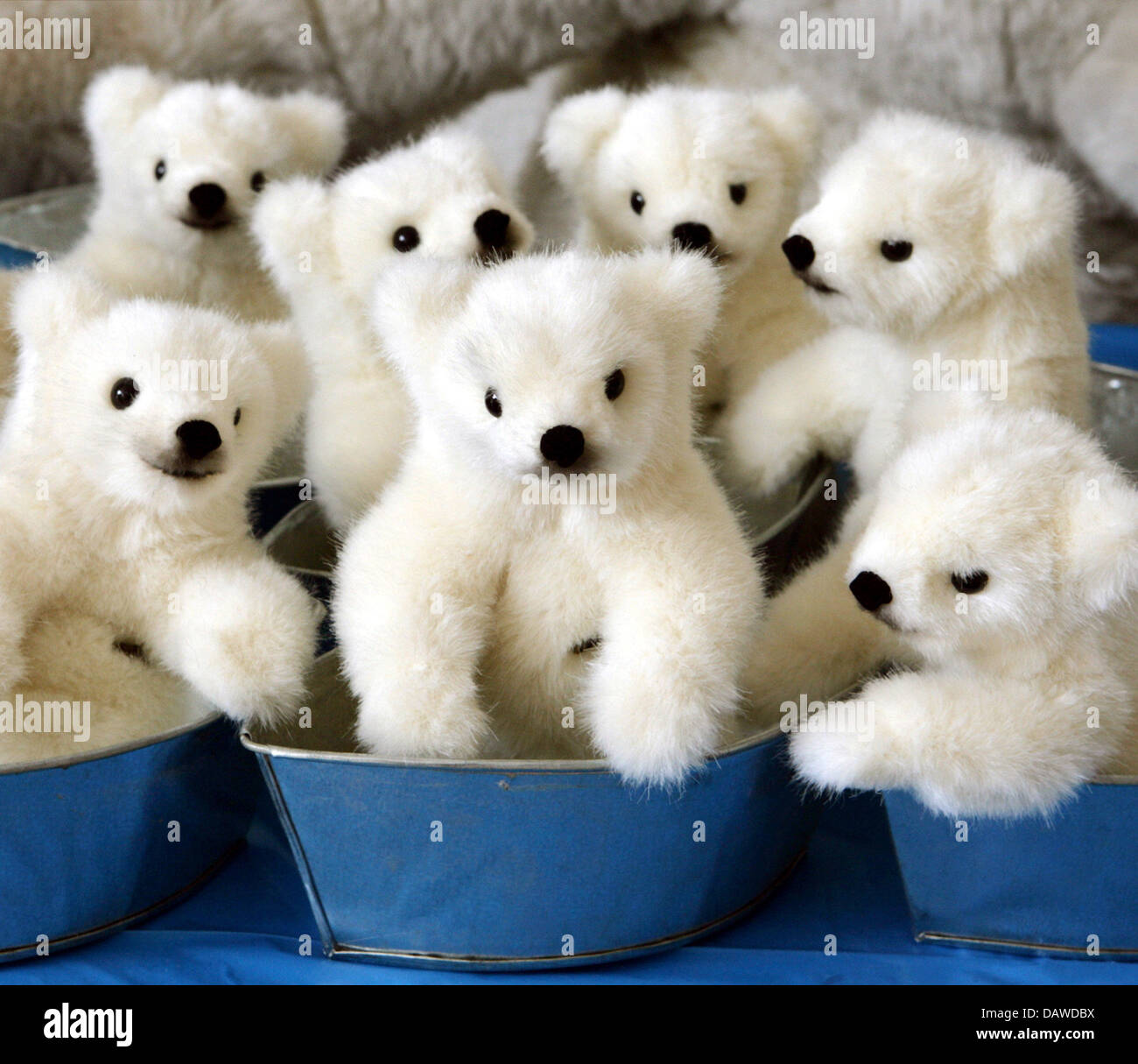 The picture shows Polar bear cub 'Knut' lookalike stuffed animals at ...