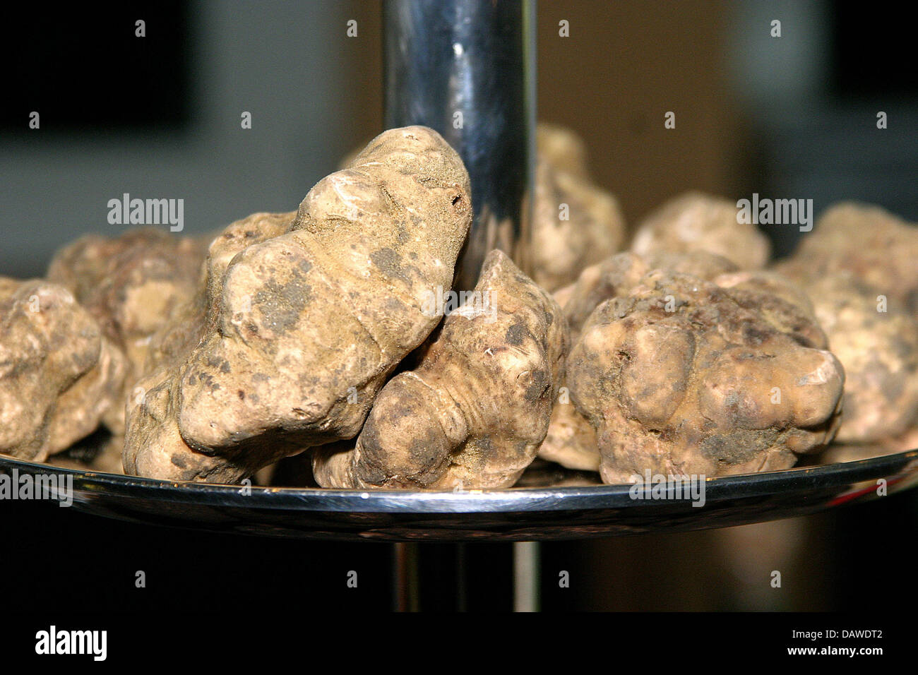 Selected truffles pictured at a truffles party in Berlin, Germany, 16 ...