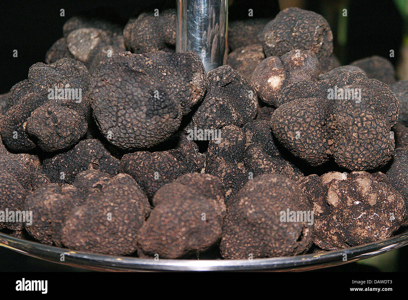 Selected truffles pictured at a truffles party in Berlin, Germany, 16 ...