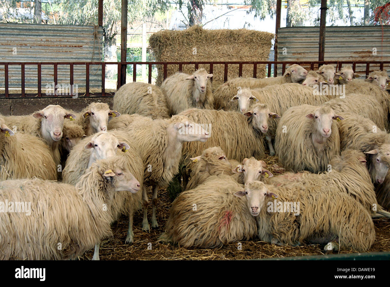 Agricultural coop workers hi-res stock photography and images - Alamy