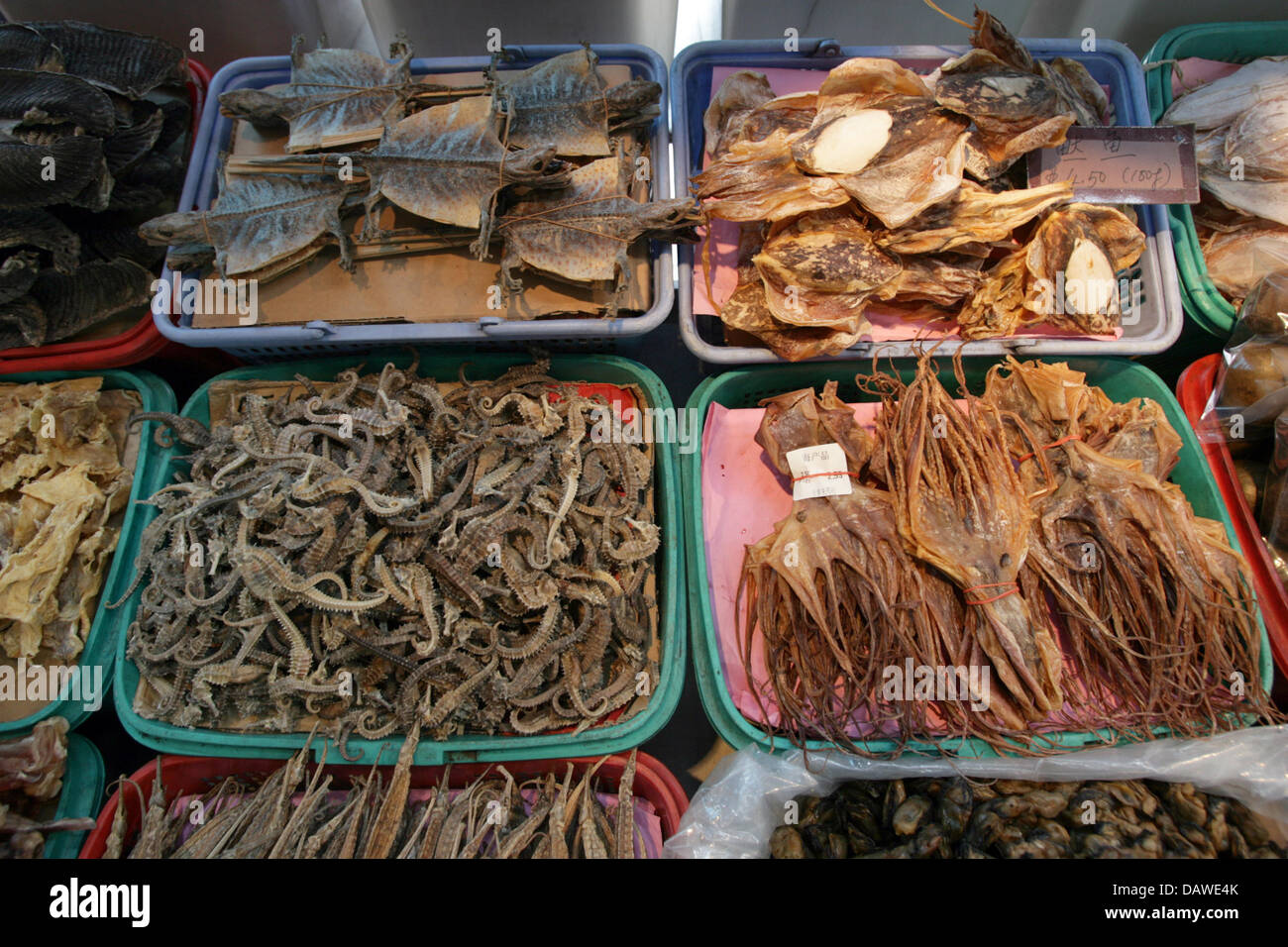 Dried animals such as bats, seahorses or calarmari are for sale to be ...