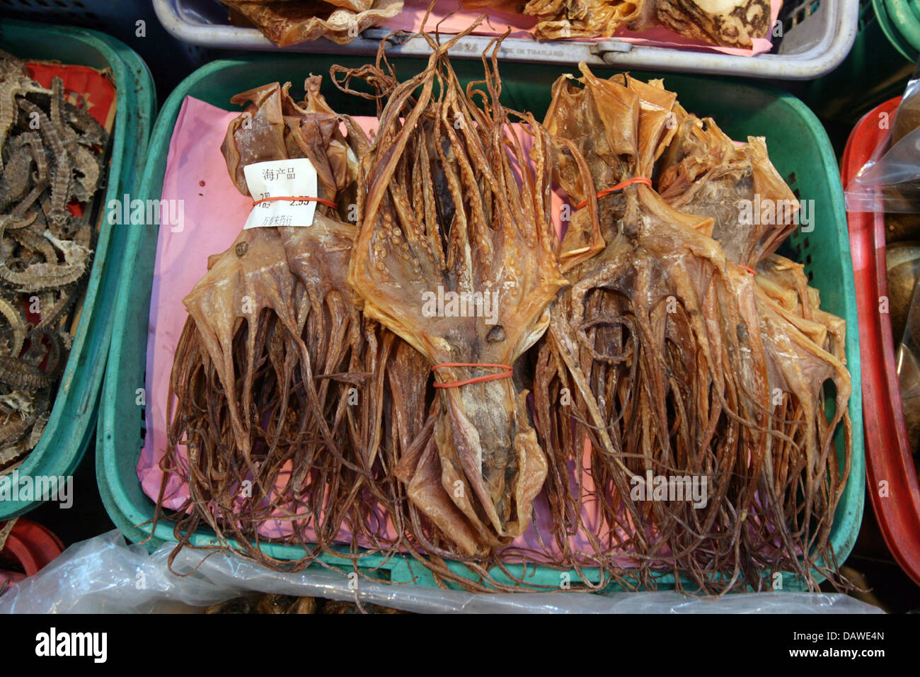 Animals Used In Medicine High Resolution Stock Photography and Images ...