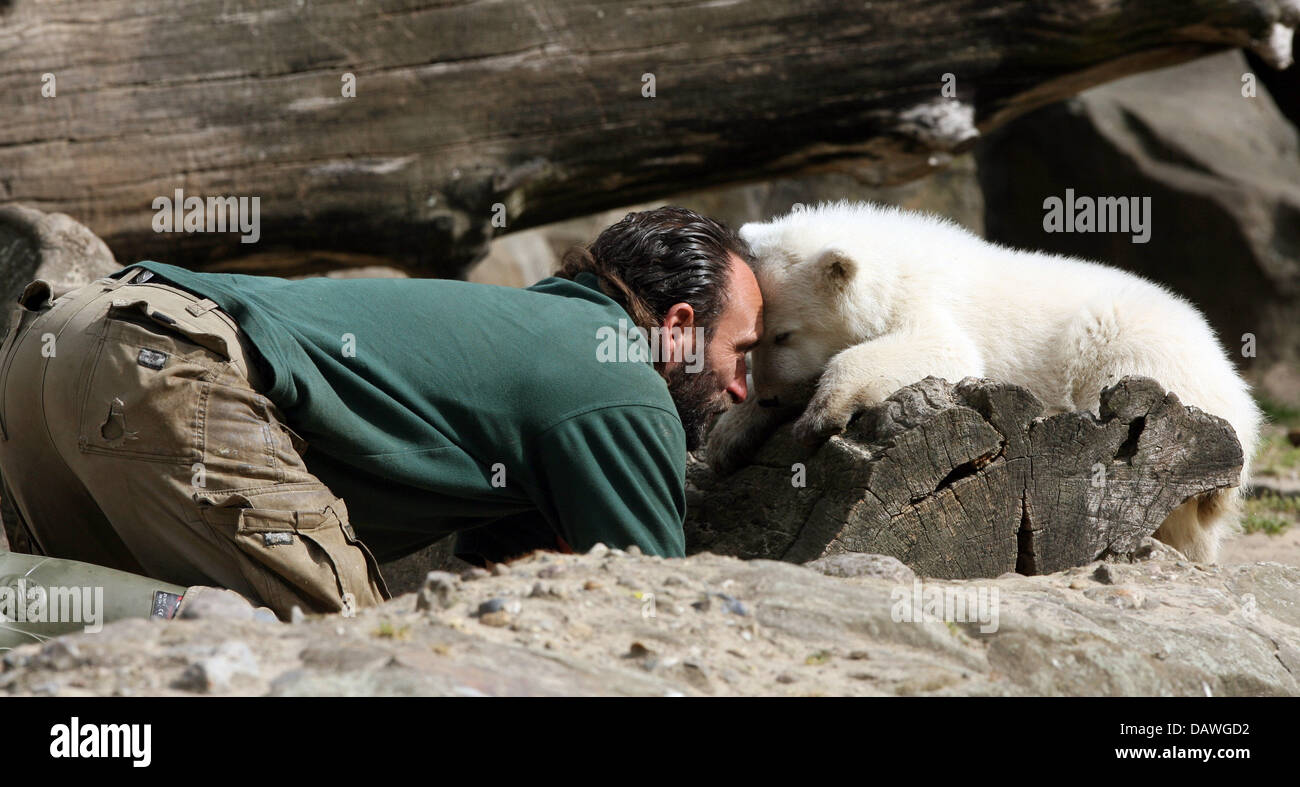 Thomas Doerflein plays with polar bear cub Knut at the Berlin Zoo ...