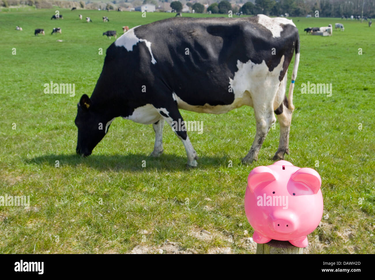 Meat and dairy hi-res stock photography and images - Alamy