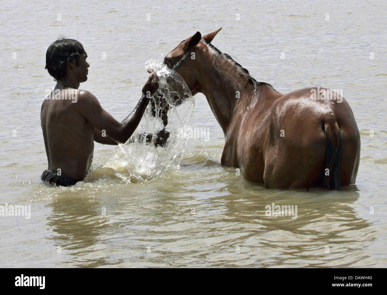 The water horse 2007 the water horse hi-res stock photography and ...