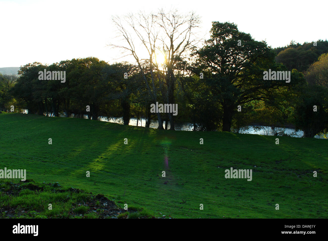 An evening walk along the river bank Stock Photo - Alamy