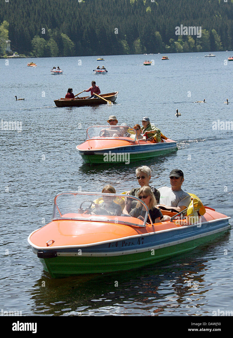 Numerous paddleboats, rowing boats and some ducks shown on lake ...
