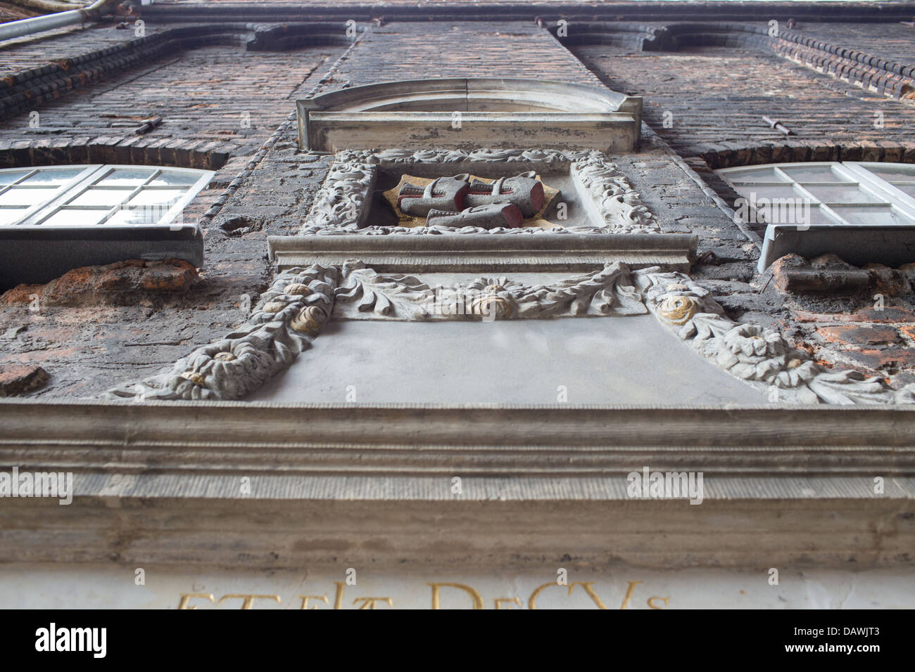 Frog perspective hi-res stock photography and images - Alamy