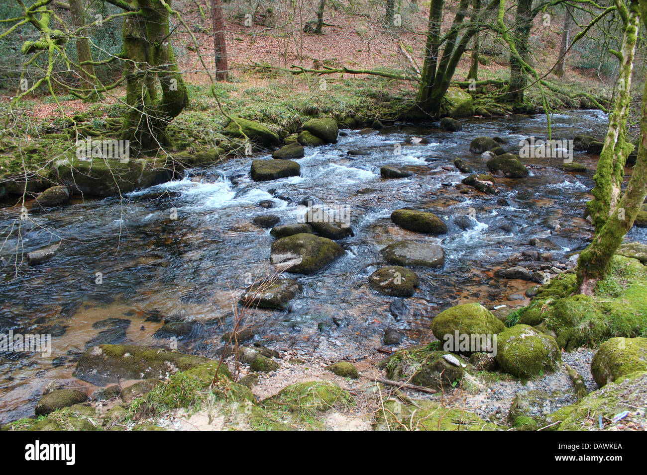 Rocky Devon River Stock Photo - Alamy