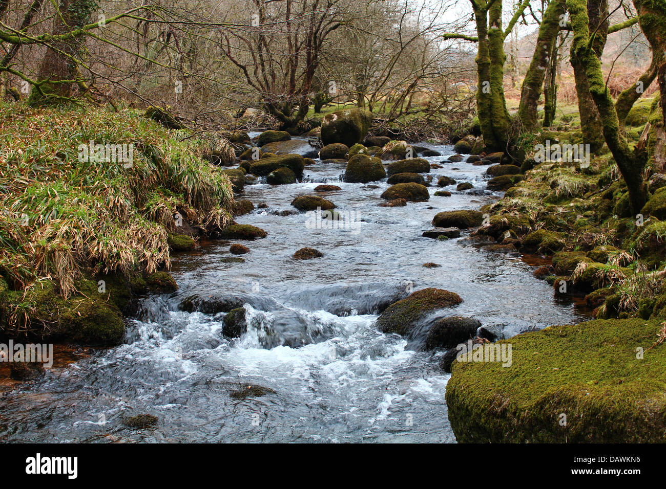 Rocky Devon River Stock Photo - Alamy