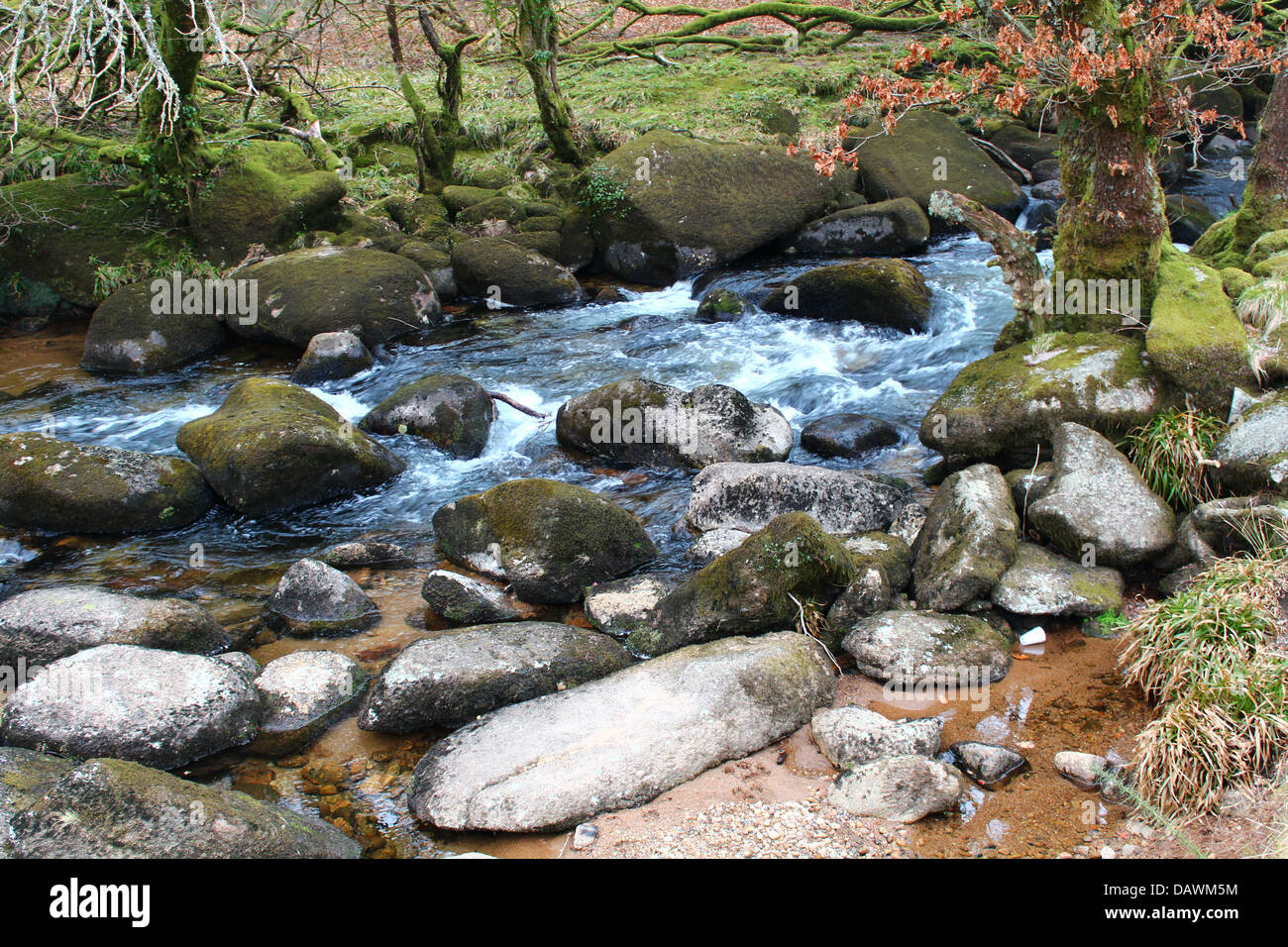 Rocky Devon River Stock Photo - Alamy