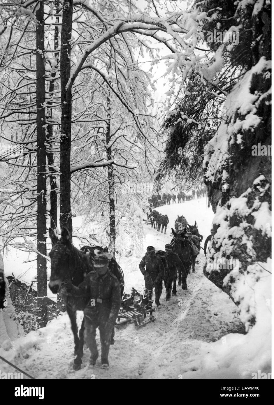 German mountain troops hi-res stock photography and images - Alamy
