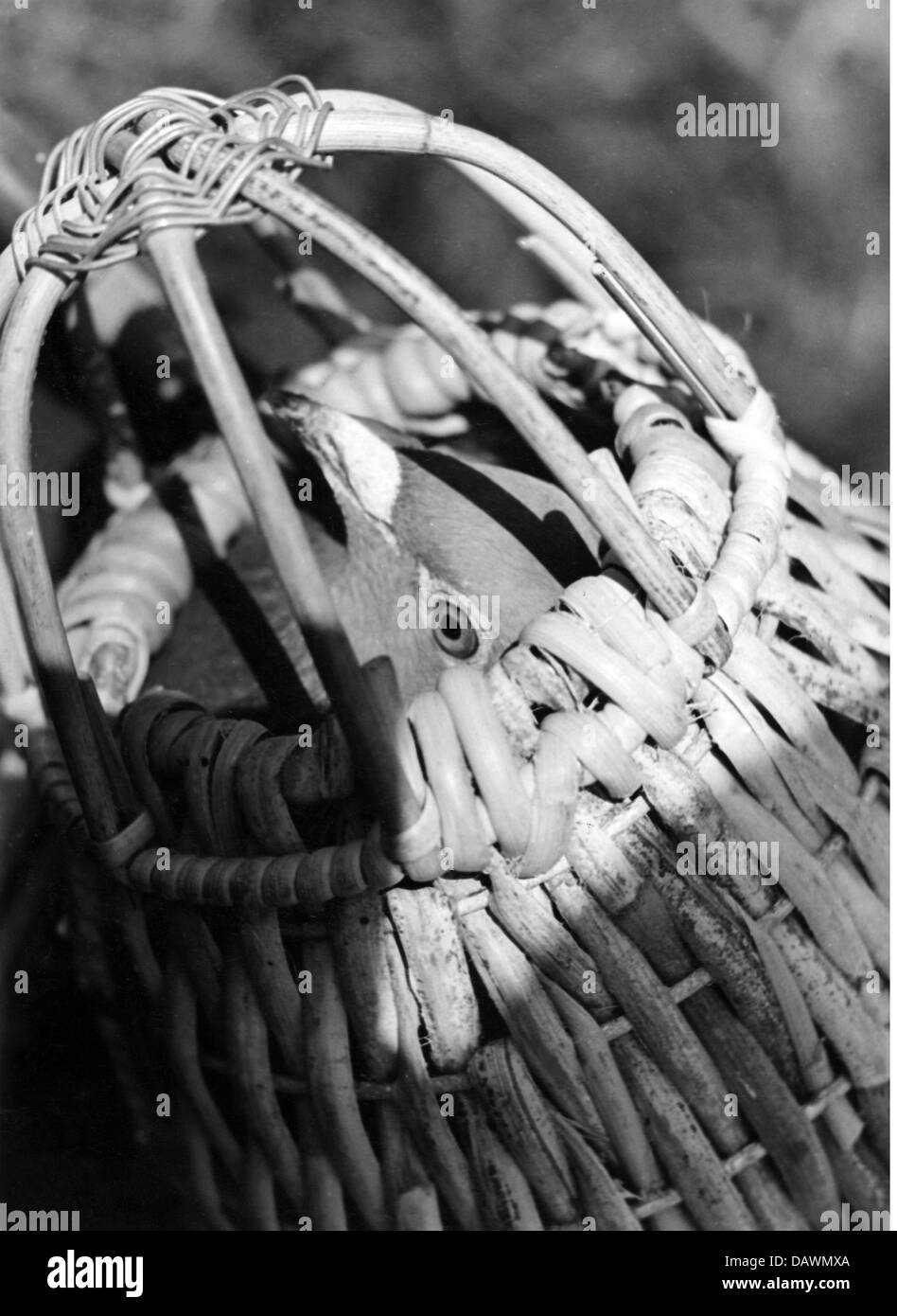 Nazism / National Socialism, military, Wehrmacht, army, communications ...