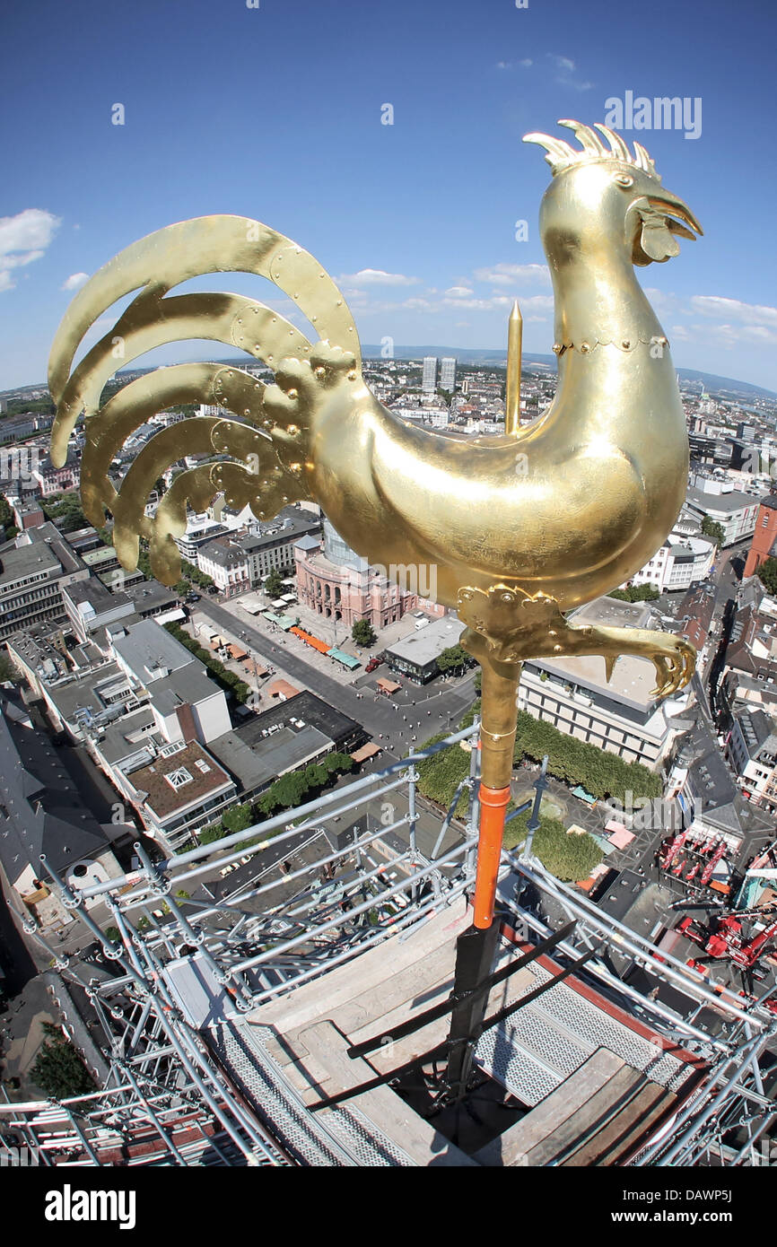 The golden weathercock is pictured on the steeple of the cathedral in ...