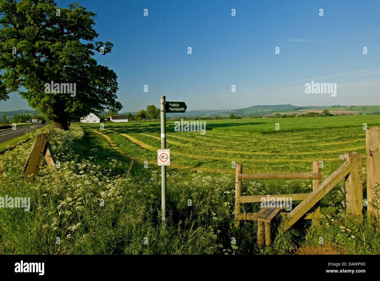 A public footpath, access stile and meadow of mown grass under ablue ...