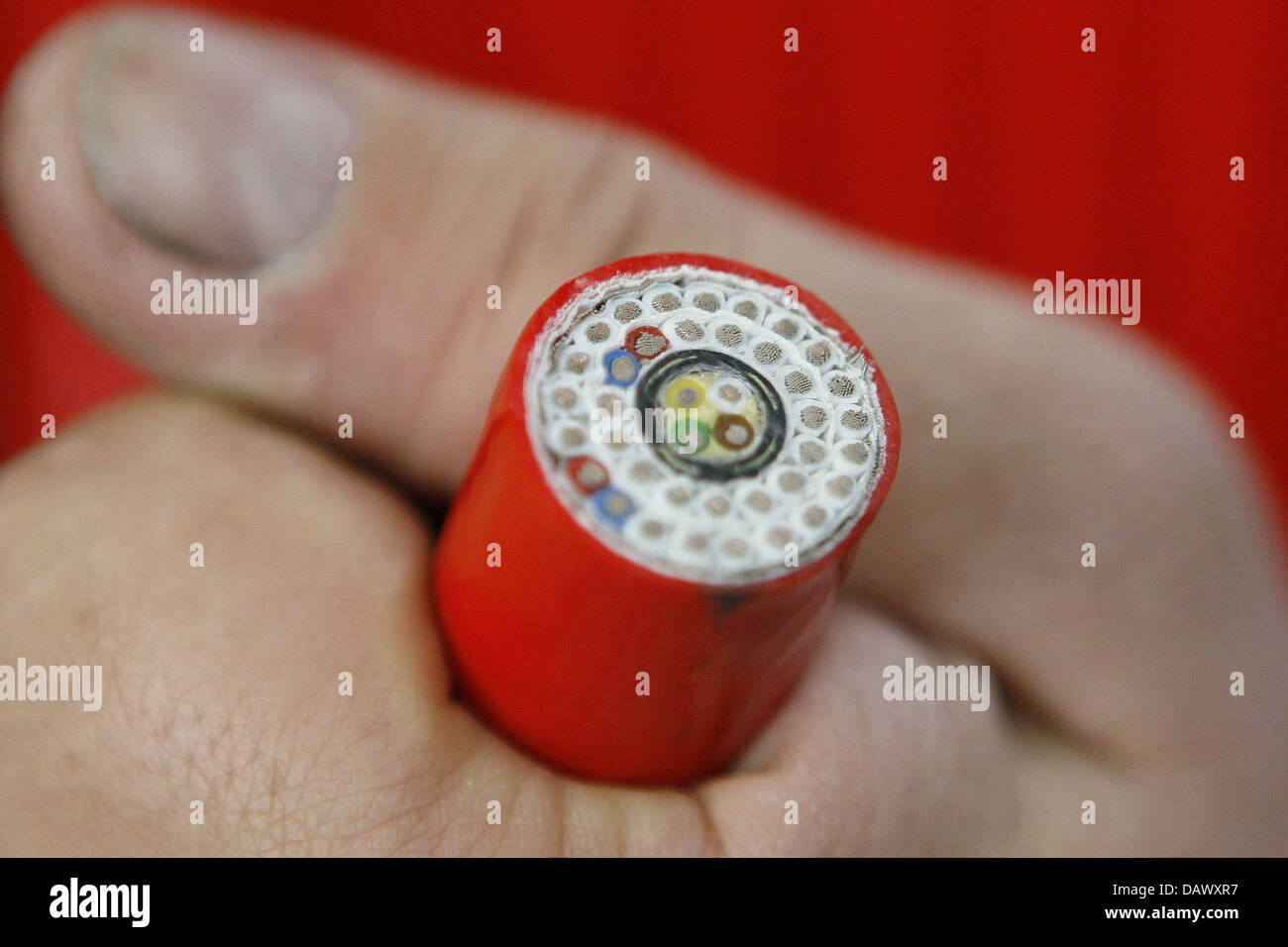 The picture shows cables by special cables producer LEONI in Roth ...