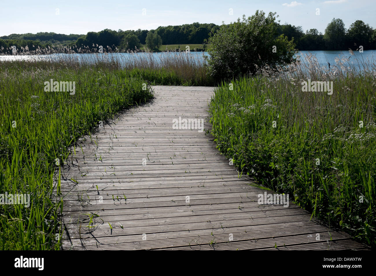 Cosmeston lakes park hi-res stock photography and images - Alamy