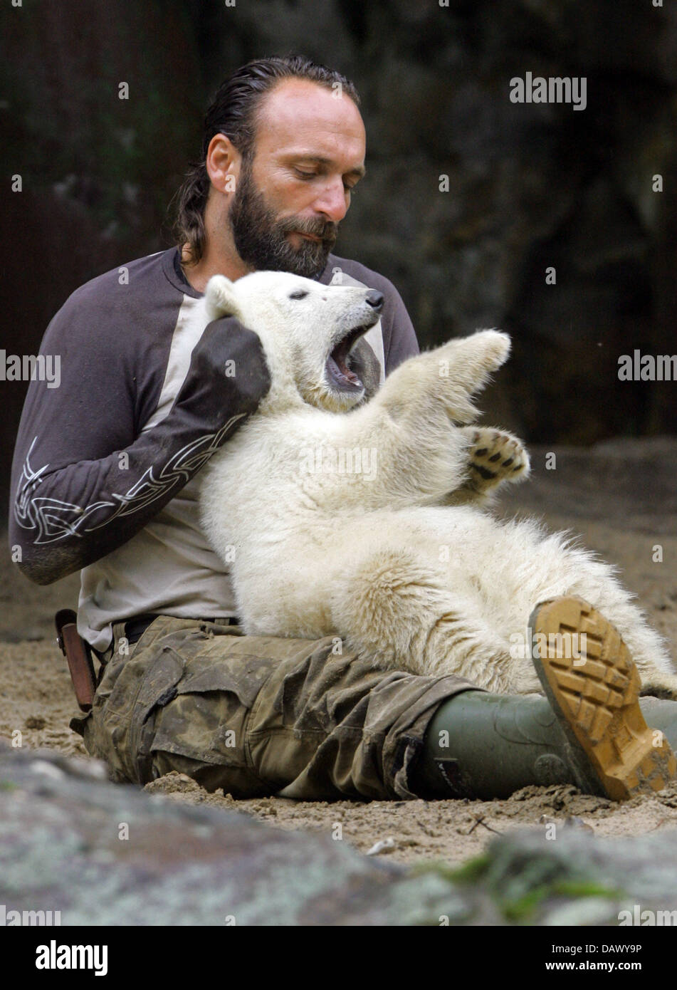 Polar bear cub 'Knut' and his keeper Thomas Doerflein play in the zoo ...