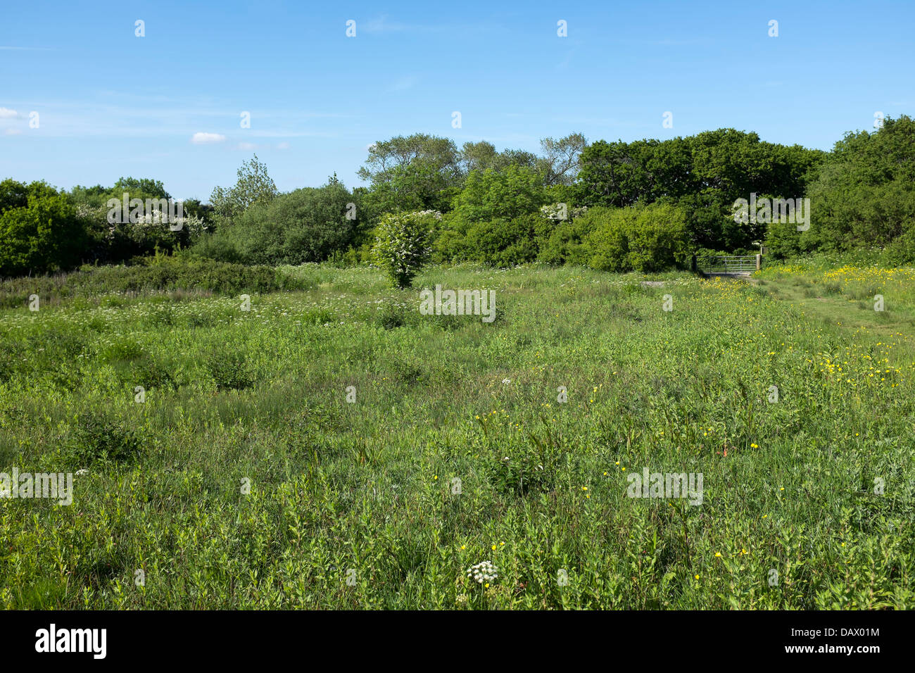 Wildlife Park at Lavernock near Penarth South Wales Stock Photo - Alamy