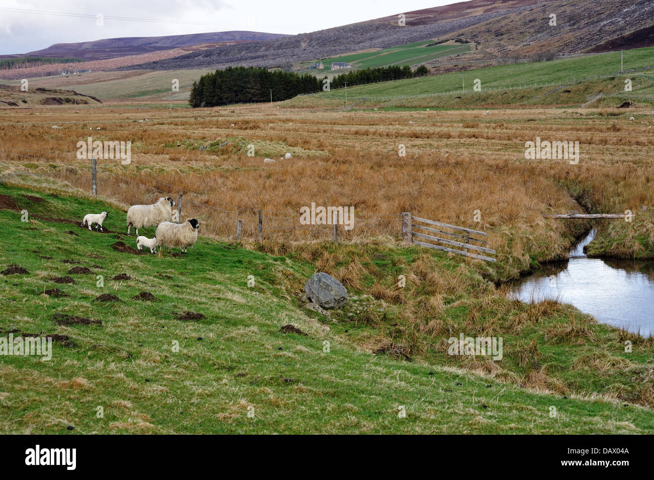 Upper don valley hi-res stock photography and images - Alamy
