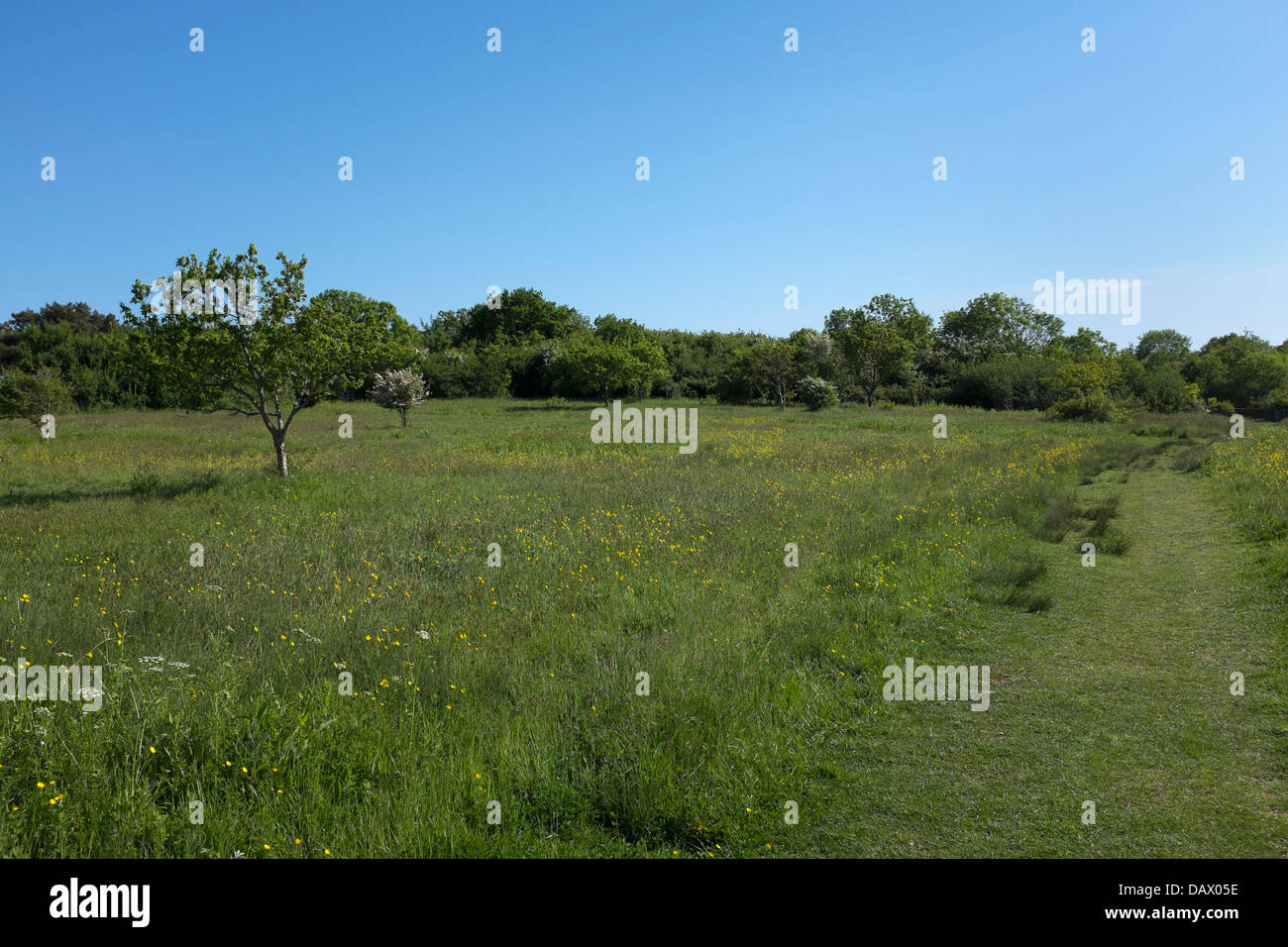 Lavernock hi-res stock photography and images - Alamy