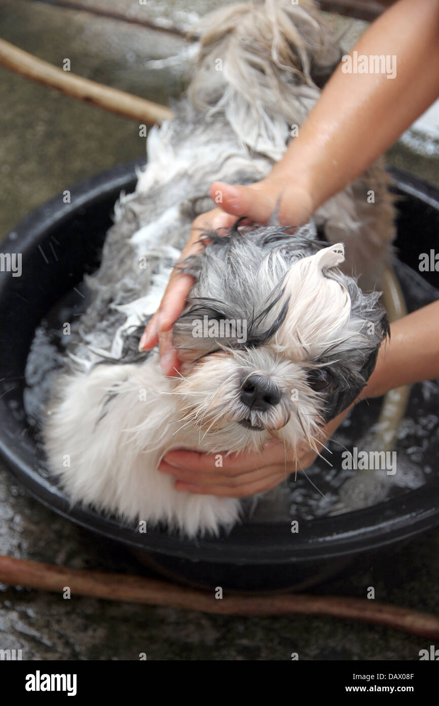 Wet basin hi-res stock photography and images - Alamy