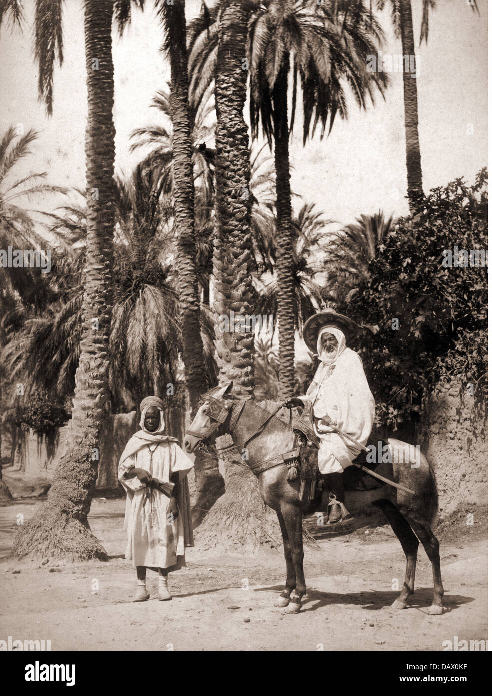 Setif Algeria High Resolution Stock Photography and Images - Alamy