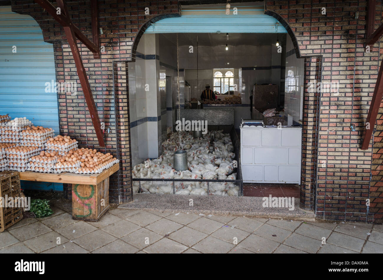 Live chicken shop hi-res stock photography and images - Alamy