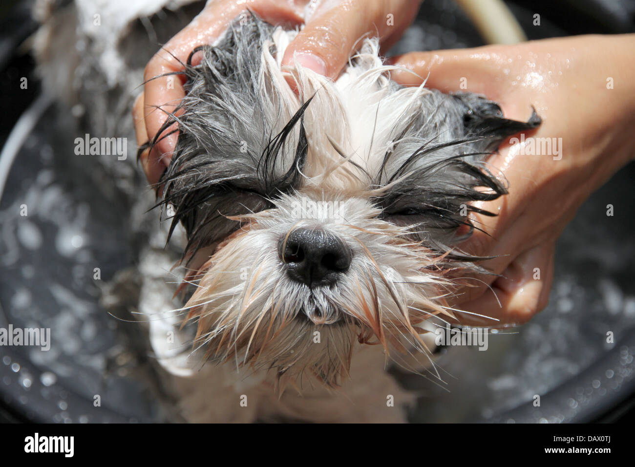 Cleaning the bath hi-res stock photography and images - Alamy