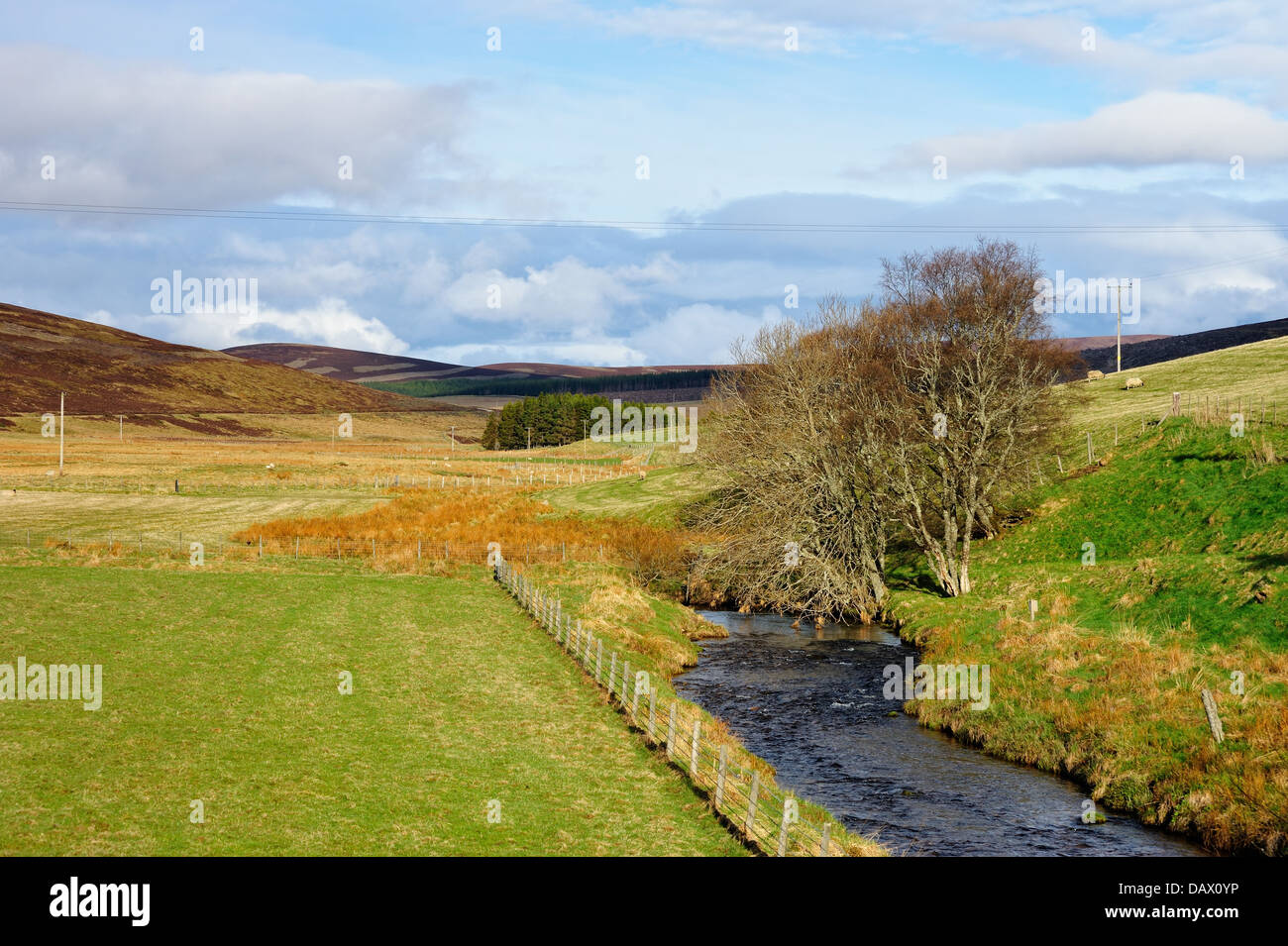 The River Don as it flows from Cockbridge to Corgarff, in Aberdeenshire ...