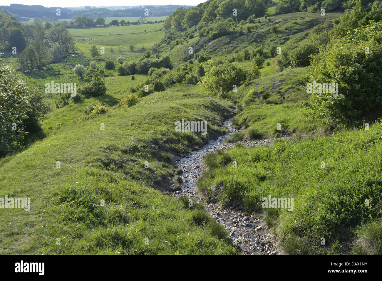 Nature reserve with hilly meadows,springs and orchid marshes on the ...