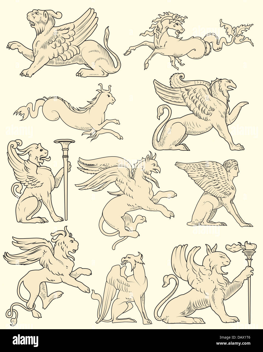 Medieval griffin monster heraldry hi-res stock photography and images ...